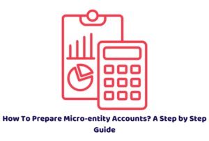 How To Prepare Micro-entity Accounts? A Step by Step Guide