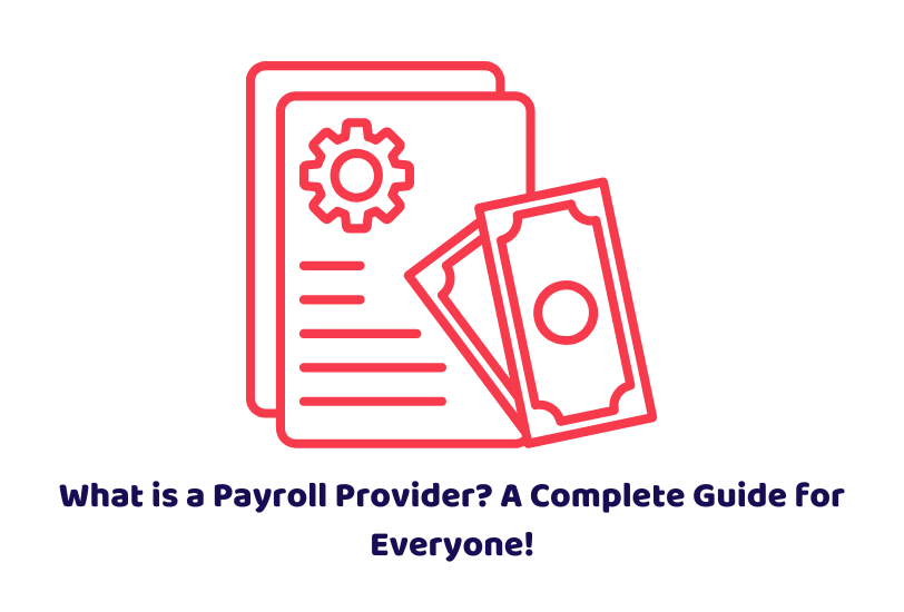 What is a Payroll Provider? A Complete Guide! - Micro Entity Accounts