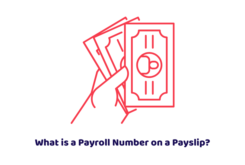 What is a Payroll Number on a Payslip? - Micro Entity Accounts